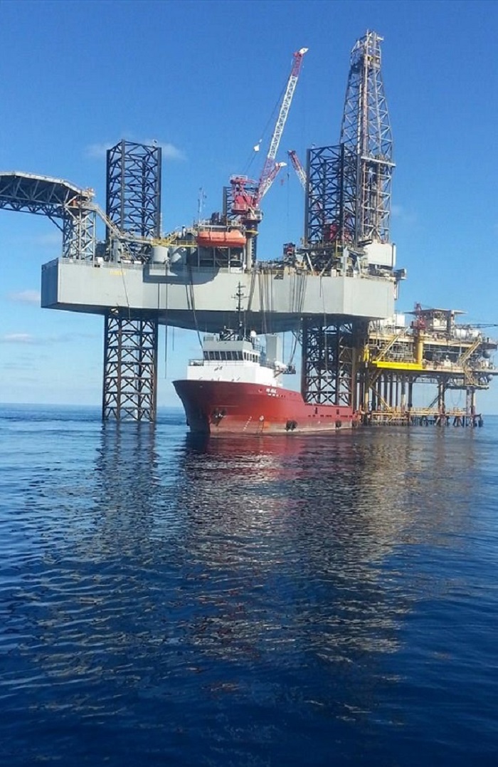 Vessel Chartering & Broking - Dry Bulk - Tanker - RORO - LPG - Bitumen